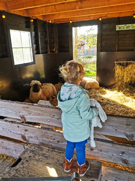 Vakantiepark Molenwaard Logeren Bij Fien En Teun Gezin Op Reis
