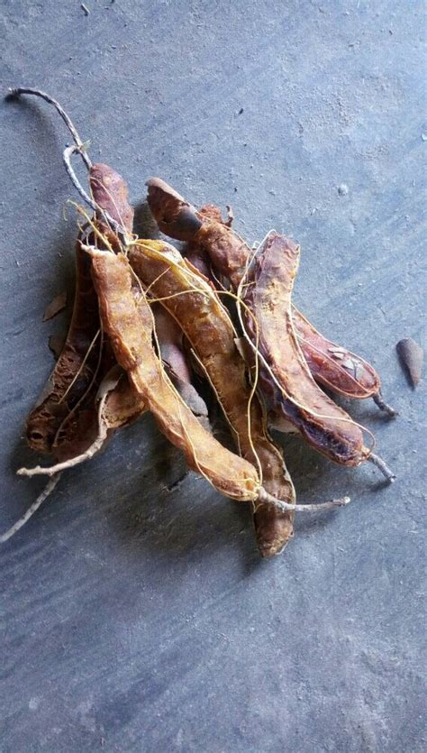 Imli Packaging Size 50g At Rs 35 Kilogram In Ranchi Id 22225337962