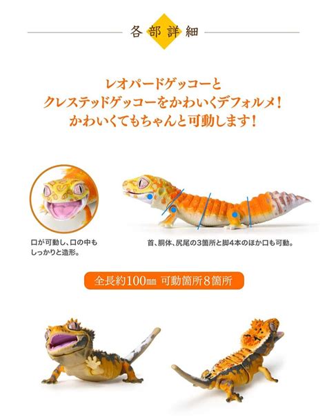 [반다이 가샤폰] 생물대도감 레쁘띠 Best 레오파와 크레스 피규어 정보