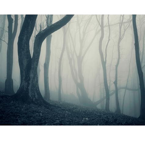 Making Data Less Scary Viable Insights