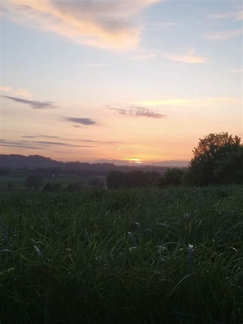 Gallery Marie Ann Cornelia Vsco