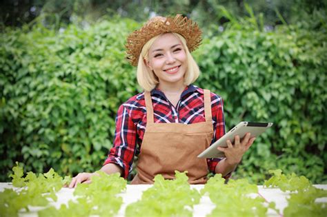 초상화 젊은 아시아 여성 유기농 야채 농장에서 태블릿 작업을 개최 깨끗한 식품 품질 검사 유기농 야채 정원 음식에 대한 스톡