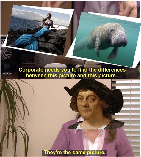 Columbus Gave Detailed Descriptions Of Manatees In His Reports To The
