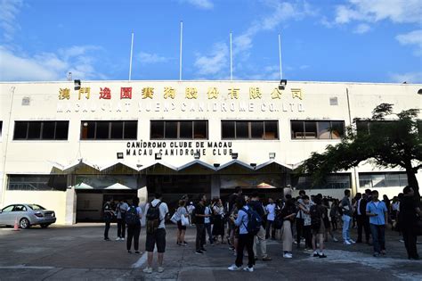 澳門民署暫管533隻格力犬至少10日 長遠考慮外判飼養 星島日報
