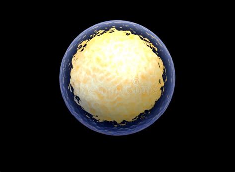 Nucleolo Cellula Staminale 3d Illustrazione Di Stock Illustrazione