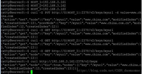 Etcd集群安装实验2023 07 25 154106330780 E Etcdmain Error Verdocker猫猫的