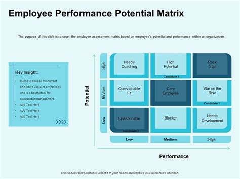 Employee Performance Potential Matrix Development Ppt 9 Box Grid