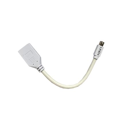 Adapter Mini DisplayPort To DisplayPort Eslotparts