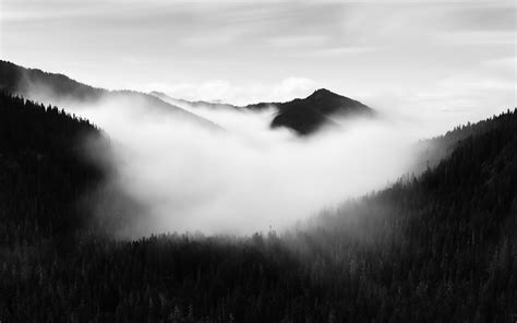 gatsby html5up open source app with grayscale design