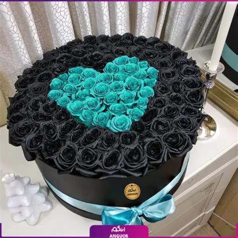 گل رز سیاه انگور