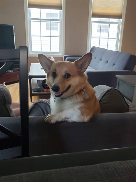 Hey Whatcha Doing Back There Rcorgi