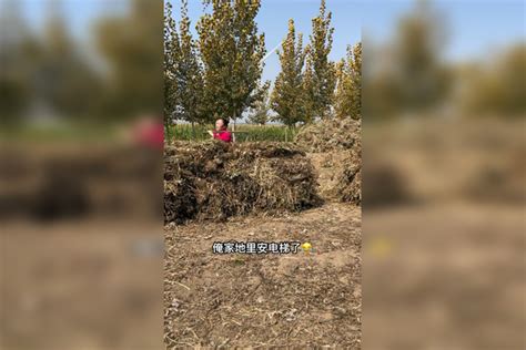 农村大爷大妈给地里装“电梯”，干活的再也没那么累了！ 搞笑cp欢乐多电梯大妈大爷