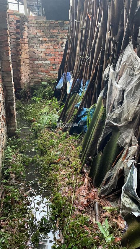 求助雨季排水，隔壁将排水沟堵塞 群众呼声四川问政 四川省网上群众工作平台 温江区委书记