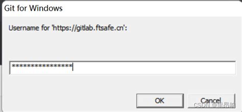 初次gitlab上传代码，傻瓜式教学，超详细！ csdn博客