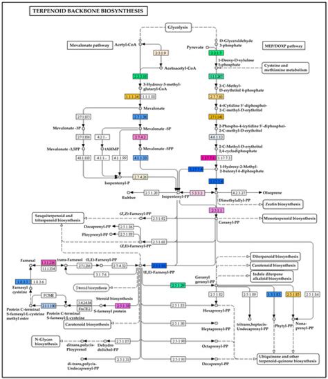 Ijms Special Issue Comparative Genomics And Functional Genomics Analysis In Plants