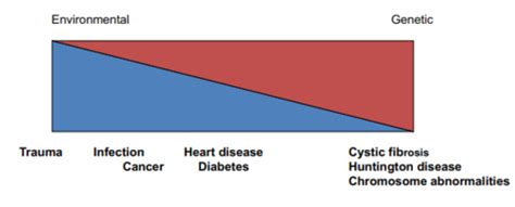 The Genetic Basis Of Multifactorial Disease Flashcards Quizlet