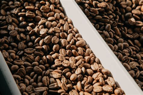 El Café Alrededor Del Mundo Cifras Consumo Y Curiosidades