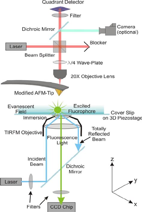 Schematic Of The Combined Afm Tirf Setup A Laser Beam Is Directed Via A Download Scientific