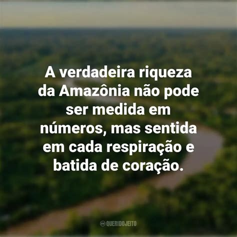 A Verdadeira Riqueza Da Amazônia Não Pode Ser Medida Em Números Mas