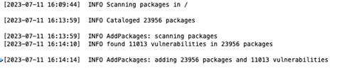 Real Time Cve Scanning Of Your Macos Build Systems Veertu