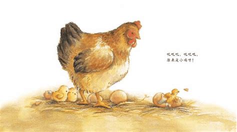 鸡生蛋还是蛋生鸡？这个困扰人们许久的难题，终于有了答案