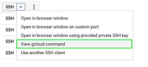 Leveraging Gcs Storage For Efficient Access To Large Data Sets