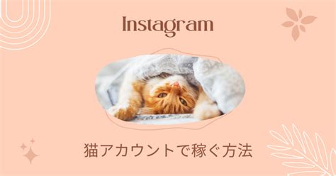 Seoに強いサイト構造とは設計の基本と可視化ツール・改善手順まで徹底解説 ロロント株式会社