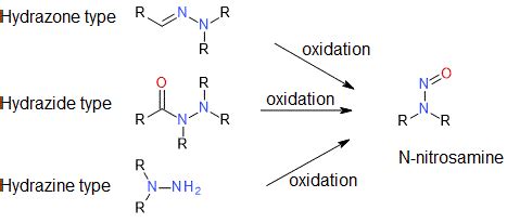 N Nitrosamine Formation By Oxidation