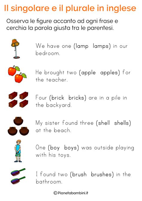Il Plurale In Inglese Schede Per La Scuola Primaria PianetaBambini It