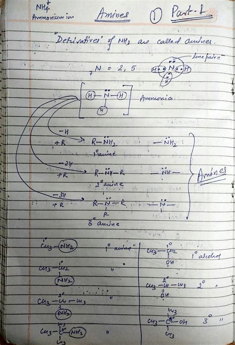 SOLUTION Amines Part 1 Studypool