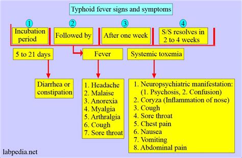Enteric Fever Part 1 Typhoid Fever Enteric Fever
