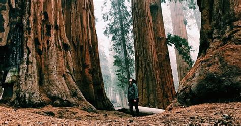 Jaw Dropping Bucket List Adventures In The U S Lugless