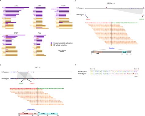 Figure 1 1 From Structural Variation Discovery And Genotyping From Whole Genome Sequencing