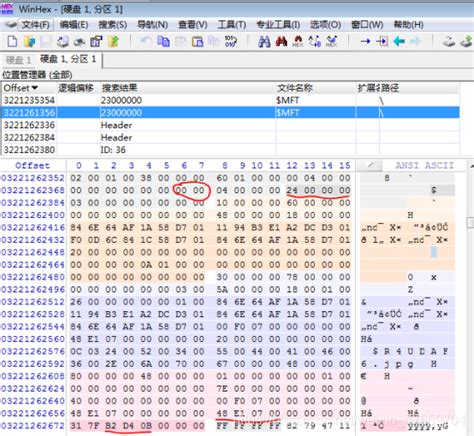 ntfs文件系统下文件恢复 java直接恢复ntfs的文件 csdn博客