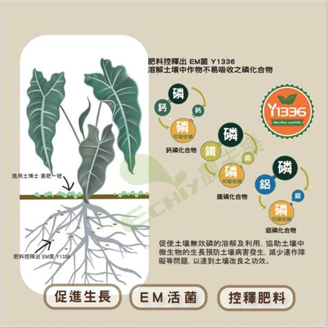 【市面唯一菌緩控肥】緩釋肥 肥料 長效肥 1kg 多肉肥料 土博士 好康多 奧綠肥 魔肥 肥真久 蝦皮購物