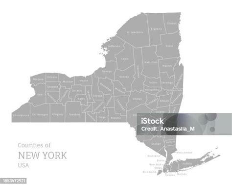 Highly Detailed Gray Map Of New York With County Lines Us State Stock Illustration Download