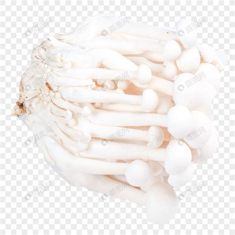 新鲜菌菇元素素材下载 正版素材400759366 摄图网