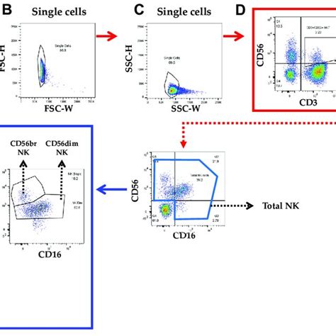 Flow Cytometry Analysis Of Nk Cells In An Ovarian Cancer Removed