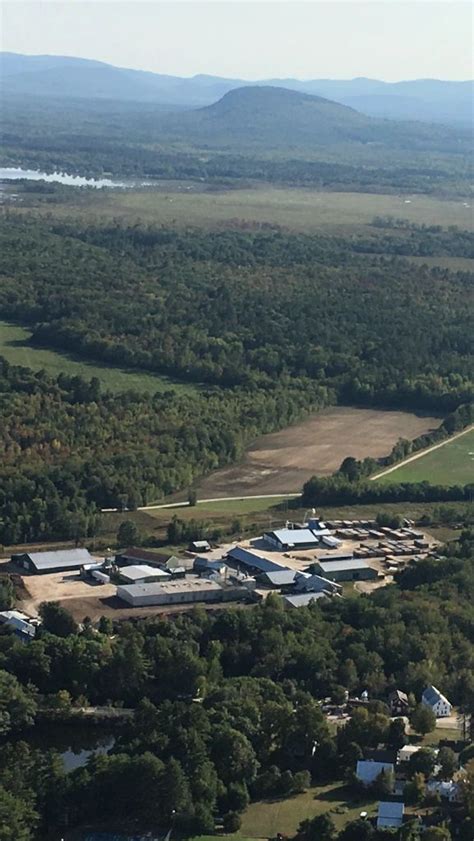 The Sawmill