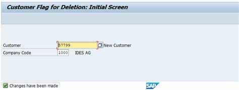 SAP FI Delete Customer