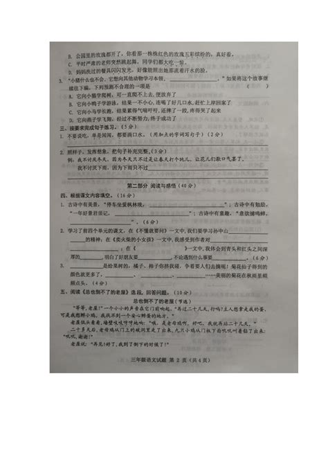 山东省菏泽市成武县2023 2024学年三年级上学期11月期中语文试题（图片版，含答案） 21世纪教育网