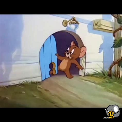 کارتون تام و جری این قسمت نجات جوجه دارکوب فیلو