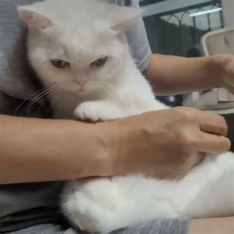 기분 안 좋아 눈으로 욕하네 Youtube