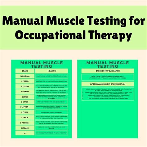 Manual Muscle Testing Guide For Occupational Therapy Ot And Cota