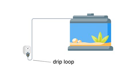 Drip Loop What Is It And Why Do You Need It Myaquarium