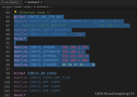 Linux第44步在程序中设置默认的“网络地址” Csdn博客