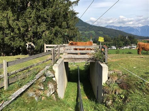 MIEDERS ALPINE COASTER: All You Need to Know BEFORE You Go