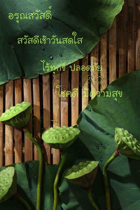 อรุณสวัสดิ์ ดอกบัว ภาพวาดโดย Sudchit Pothong