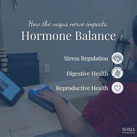 Soma The Vagus Nerve The Bodys Superhighway🌟 The Vagus Nerve Often Referred To As The Body