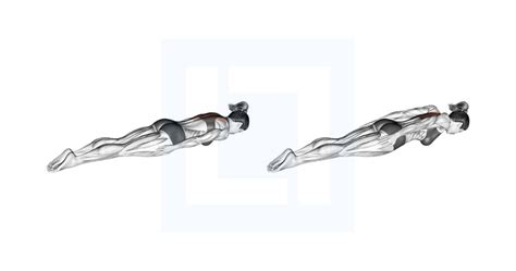 Band Close Grip Row Guide Benefits And Form